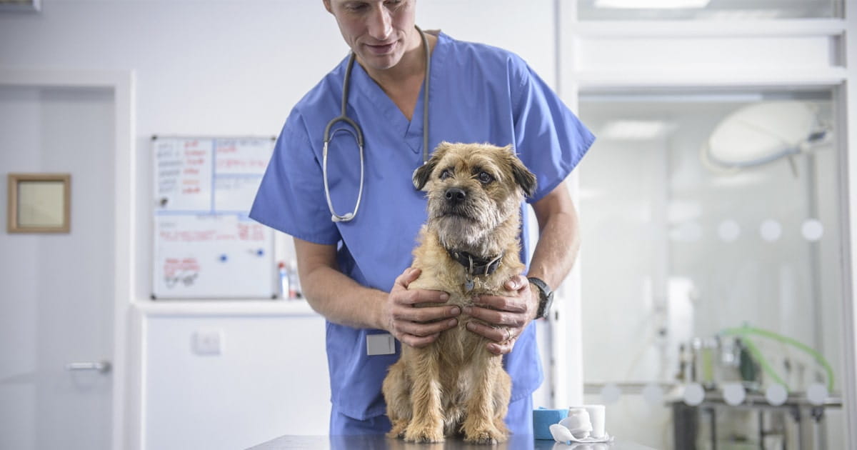 Prepare Now for These 6 Common Emergency Expenses