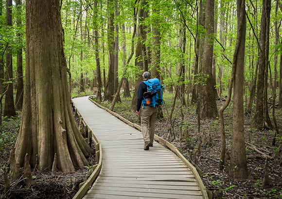 5 New U.S. National Parks to Explore