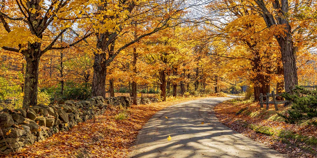 6 Scenic Drives for Spectacular Fall Color
