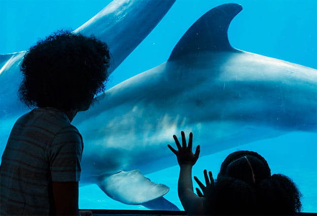 NEA Discount Tickets Program for Teachers and Educators | NEA Member ...