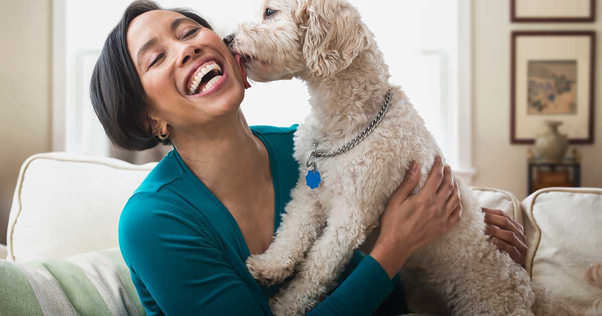 NEA Pet Insurance Program for Teachers